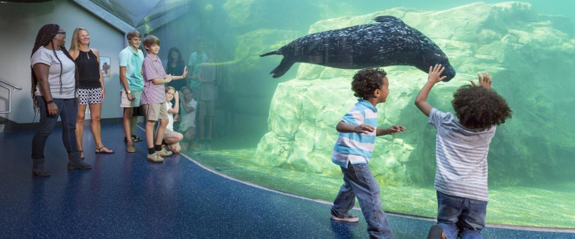 What are the top attractions in columbia, south carolina?